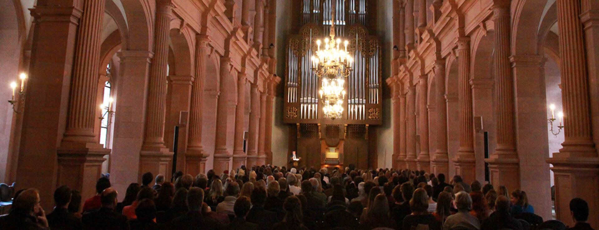 The University - Master Biosciences